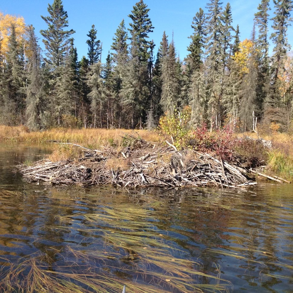 Blasting Licence, SK, AB | BLASTEK Explosives Training & Services – Blastek